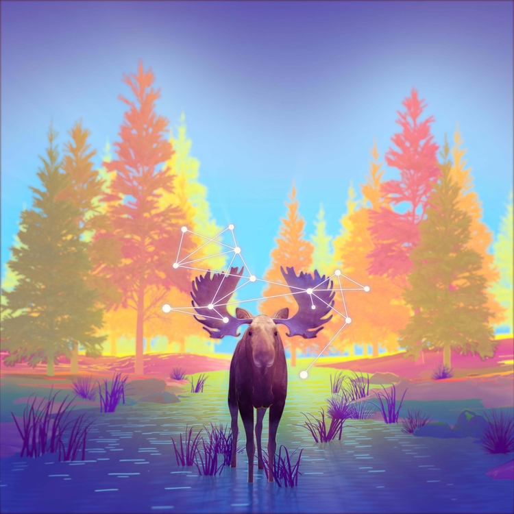 Fullstack D3 and Data Visualization | newline