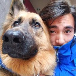 Fullstack D3 and Data Visualization | newline